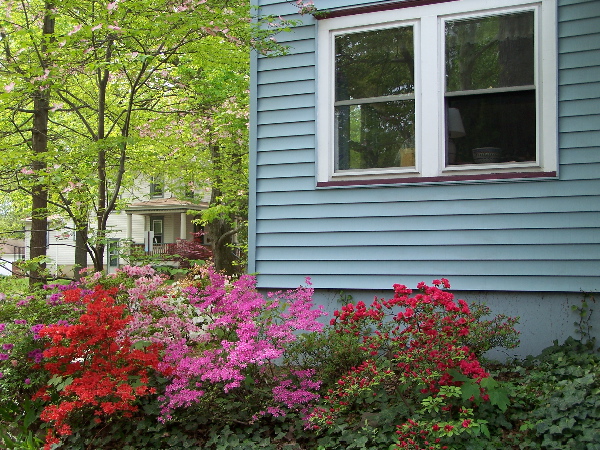 Buy the Webmaster's House in historic Haddonfield