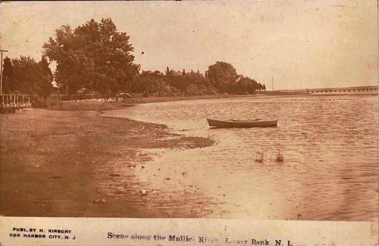 Lower Bank - Scene along the Mullica River - c 1910-b | Lower Bank ...